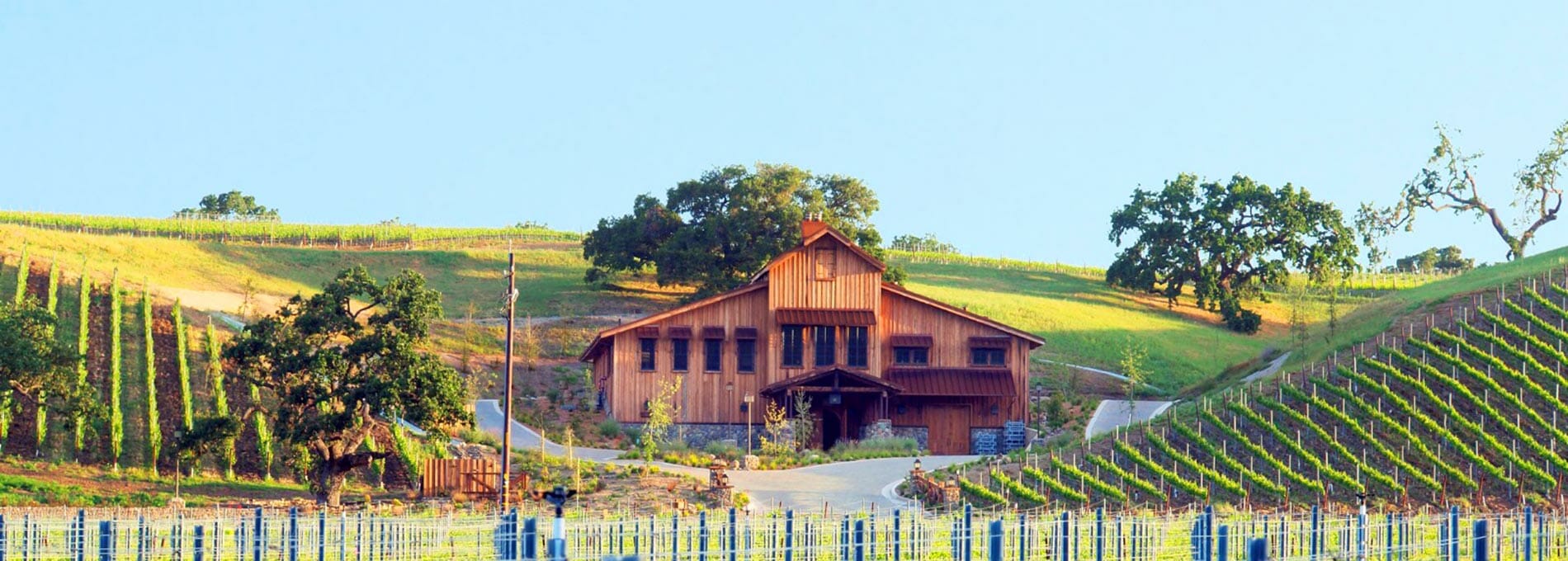 Grassini Family Vineyards - Visiting Santa Barbara